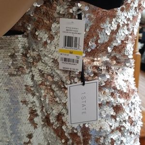 1. State | Dresses | State Sequined Shift Dress Silver Mist Size M ...